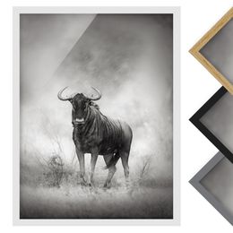Bilderwelten Bild mit Rahmen Tiere schwarz weiss Motiv inkl. Rahmung - Staring Wildebeest - Deko Wohnzimmer Schlafzimmer