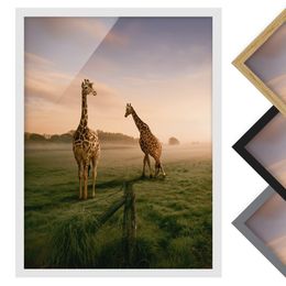Bilderwelten Bild mit Rahmen Natur beige modern inkl. Rahmung - Surreal Giraffes - Landschaft Wohnzimmer Schlafzimmer