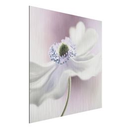 Bilderwelten Alu-Dibond Outdoor Bild Anemonenbrise