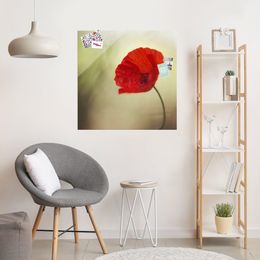 Bilderwelten Glasbild Blumen Motiv gr&uuml;n Glas Wandbild - Mohnbl&uuml;te im Garten - Deko Wohnzimmer Schlafzimmer