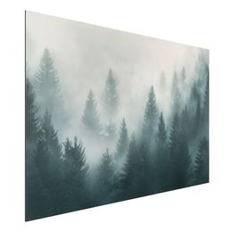 Bilderwelten Alu-Dibond Outdoor Bild Nadelwald im Nebel