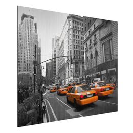 Alu-Dibond Schwarz-Wei&szlig; NEW YORK, NEW YORK