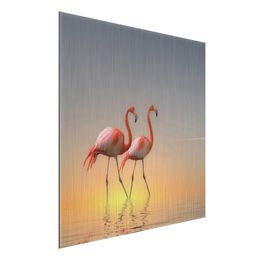 Bilderwelten Alu Dibond Outdoor Bild Tiere orange Motiv wetterfest - Flamingo Love - V&ouml;gel Wohnzimmer Schlafzimmer