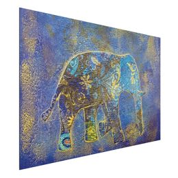 Alu-Dibond Tiere Elephant in Marrakech