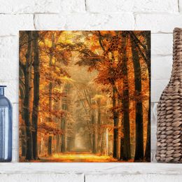 Bilderwelten Leinwandbild Wald Motiv Kunstdruck orange - M&auml;rchenwald im Herbst - B&auml;ume XXL Wohnzimmer Schlafzimmer