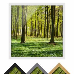 Natur & Landschaft Bild mit Rahmen Waldwiese
