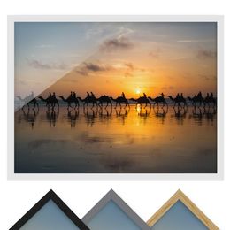 Bilderwelten Bild mit Rahmen - Querformat Kamele im Sonnenuntergang