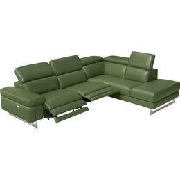 Ecksofa Egoitaliano "Candice, elegant, edel und bequem, erstklassiger Sitzkomfort, L-Form", gr&uuml;n (sprite), B:278cm H:100cm T:221cm, Leder &raquo;CAREZZA&laquo; (Rindsleder). Halbnarbiges Naturleder mit einer Dicke von 1, 2-1, 4 mm. Es hat eine weiche und wachsartige Hand mit halb undurchsichtigem Aussehen. CAREZZA ist ein Naturleder, das die urspr&uuml;nglichen Eigenschaften der M&auml;ntel nicht ver&auml;ndert. Das Vorhand