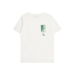 Calvin Klein Jeans T-Shirt Jungen Gr&ouml;&szlig;e 170/176 gr&uuml;n / wei&szlig;