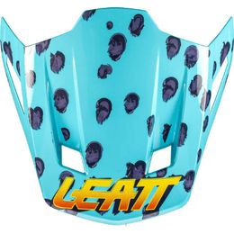 Leatt 8.5, Helmschirm