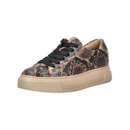 Paul Green Sneakers female Brown size 43