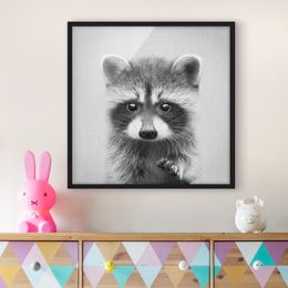 Bilderwelten Bild mit Rahmen Baby Waschb&auml;r Wicky Schwarz Wei&szlig;