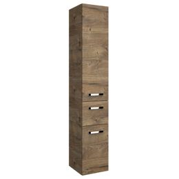 Pelipal Hochschrank FOKUS 4010