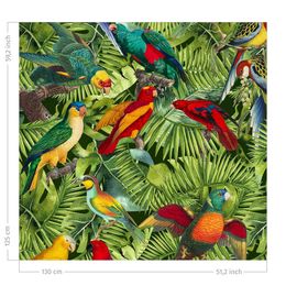 Vorhang Bunte Collage - Papageien im Dschungel - blickdichte Gardine Botanik Tropical Illustration Tiere Wohnzimmer Schlafzimmer K&uuml;che Bad Badezimmer