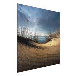 Bilderwelten Alu-Dibond Outdoor Bild Sandd&uuml;ne