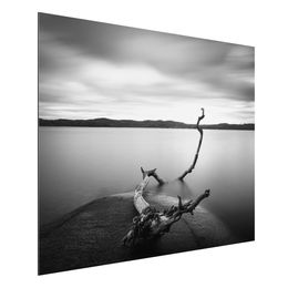 Bilderwelten Alu Dibond Outdoor Bild Natur schwarz weiss Motiv wetterfest - Sonnenuntergang am See schwarz-wei&szlig; - Landschaft Wohnzimmer Schlafzimmer