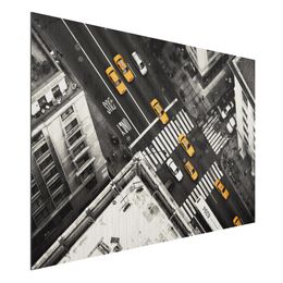 Alu-Dibond Schwarz-Wei&szlig; New York City Cabs