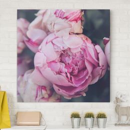 Bilderwelten Leinwandbild - Quadrat Pfingstrosenbl&uuml;te Shabby