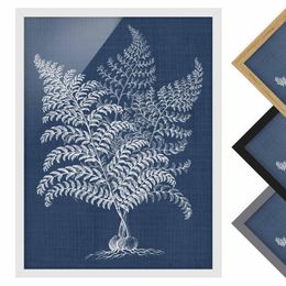 Blumen Bild mit Rahmen Denim Pflanzenstudie VI