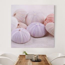 Bilderwelten Leinwandbild Tiere Motiv Kunstdruck pastell - Seeigel in Pastell - Wandbild XXL Wohnzimmer Schlafzimmer
