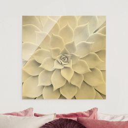 Bilderwelten Glasbild Blumen Tropisch schwarz weiss Glas Wandbild - Kaktus Sukkulente - Deko Wohnzimmer Schlafzimmer
