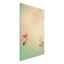 Bilderwelten Alu Dibond Outdoor Bild Natur pastell Tropisch wetterfest - Tropische Pflanzen Palmen bei Sonnenuntergang III - Himmel Wohnzimmer Schlafzimmer
