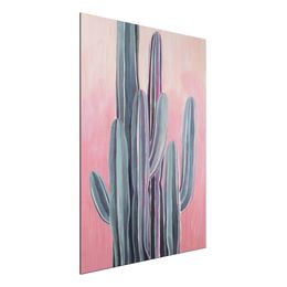 Bilderwelten Alu-Dibond Outdoor Bild Kaktus auf Rosa II