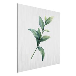 Bilderwelten Alu Dibond Outdoor Bild grün Tropisch Aquarell - Aquarell Eucalyptus II - Pflanzen Wohnzimmer Schlafzimmer