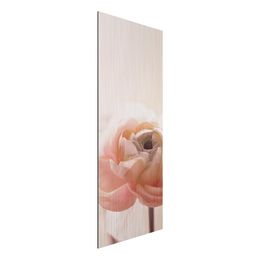 Alu Dibond Outdoor Bild - Rosa Bl&uuml;te im Fokus - rosa Motiv wetterfest Rose Wohnzimmer Schlafzimmer