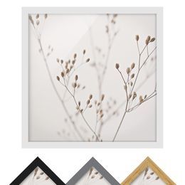 Bild mit Rahmen Zarte Knospen am Wildblumenzweig