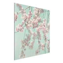 Alu Dibond Outdoor Bild - Kirschbl&uuml;tentanz auf Leinenstruktur - Blumen beige Motiv wetterfest Kirschbl&uuml;te Wohnzimmer Schlafzimmer