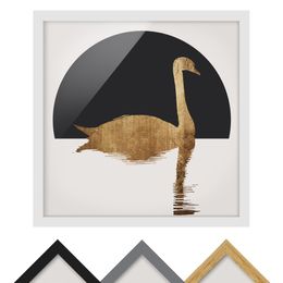 Bild mit Rahmen Schwan in Gold