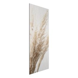 Bilderwelten Alu Dibond Outdoor Bild Blumen beige Landhaus wetterfest - Makroaufnahme Pampasgras - Gr&auml;ser Wohnzimmer Schlafzimmer