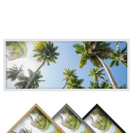 Bild mit Rahmen Palmen Himmel
