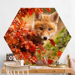 Hexagon Fototapete selbstklebend Fuchs im Herbst