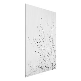 Bilderwelten Alu Dibond Outdoor Bild Blumen schwarz weiss Landhaus wetterfest - Zarte Gr&auml;ser im Schatten - Gr&auml;ser Wohnzimmer Schlafzimmer
