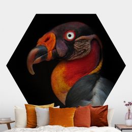 Bilderwelten Hexagon Tapete Tiere Motiv Wandtapete schwarz - K&ouml;nigsgeier vor Schwarz - V&ouml;gel Wohnzimmer Schlafzimmer
