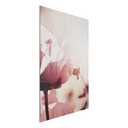 Alu Dibond Outdoor Bild - Zartrosane Mohnbl&uuml;te mit Wassertropfen - Blumen rosa Motiv wetterfest Mohn Wohnzimmer Schlafzimmer