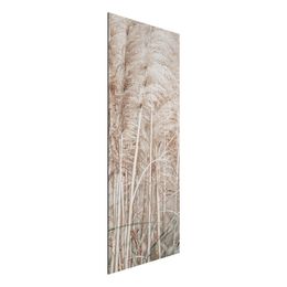 Bilderwelten Alu Dibond Outdoor Bild Blumen beige Landhaus wetterfest - Warmes Pampasgras im Sommer - Gr&auml;ser Wohnzimmer Schlafzimmer