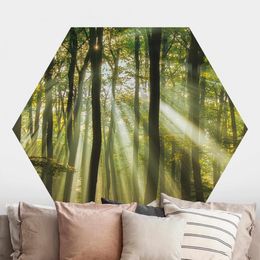 Hexagon Fototapete selbstklebend Sonnentag im Wald