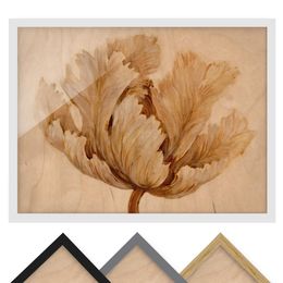 Bild mit Rahmen Sepia Tulpe auf Holz