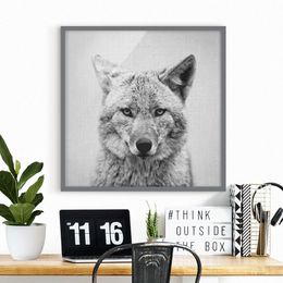 Bilderwelten Bild mit Rahmen Tiere schwarz weiss Motiv inkl. Rahmung - Kojote Kalle Schwarz Wei&szlig; - Deko Kinderzimmer Baby M&auml;dchen Jungen