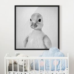 Bilderwelten Bild mit Rahmen Baby Ente Emma Schwarz Wei&szlig;