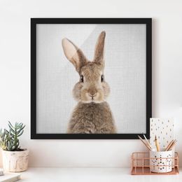 Bilderwelten Bild mit Rahmen Hase Hilbert
