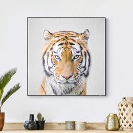 Wechselbild Tiger Tiago