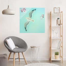 Bilderwelten Glasbild Tiere Motiv blau Glas Wandbild - Blauer Himmel mit M&ouml;we - V&ouml;gel Wohnzimmer Schlafzimmer