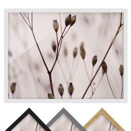 Bilderwelten Bild mit Rahmen Blumen beige Landhaus inkl. Rahmung - Dunkle Knospen am Wildblumenzweig - Gr&auml;ser Wohnzimmer Schlafzimmer