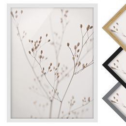 Bild mit Rahmen Zarte Knospen am Wildblumenzweig