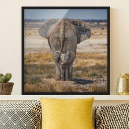 Bilderwelten Bild mit Rahmen Frecher Elefant