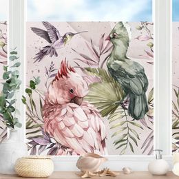 Bilderwelten Fensterfolie Tropische Vögel - Bunte Kakadus und Kolibri